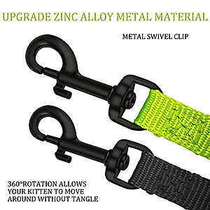 DOYOO 2 Pack Puppy Dog Leash Cat Leash, Strong and Durable Leash with Easy to Use Collar Hook - Dog Leashes for Cat with Collapsible Pet Bowl Great for Small and Medium Dog (Set 3-Black+Green)