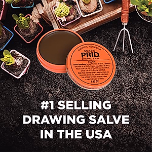 Smile's Prid Homeopathic Drawing Salve 18 g (Pack of 8)