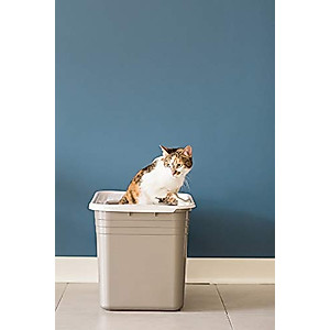 Petmate Top Entry Litter Cat Litter Box With Filter Lid To Clean Paws