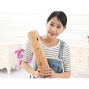 LANFIRE 3D Tree Wood Slice Memory Foam Soft Throw Cushion Log Pillow Doll Chair Seat Pad for Home Office Gingko Tree Fruit Cushion Sofa Foam Pillow (Brown)