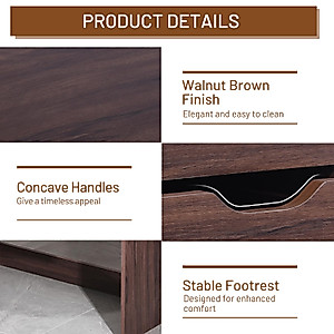 FurnitureR Home Office Computer Desk with 2 Drawers, Wooden Study Writing Table Teen Student Desk Workstation with Footrest for Bedroom Small Spaces Apartment Dorm, Walnut Brown