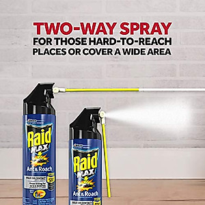 Raid Max Ant and Roach Spray, 14.5 OZ (Pack of 6)