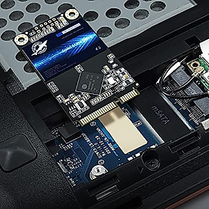 Dogfish mSATA SSD 250GB 3D NAND TLC SATA III 6 Gb/s, mSATA (30x50.9mm) Internal Solid State Drive - Compatible with Desktop PC Laptop - (MSATA 250GB)