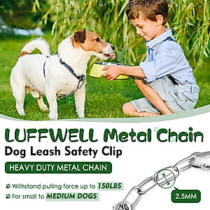 Dog Collar Backup Clip, Chew Proof Double Ended Backup Metal Safety Clasp Pet Dog Leash Connector, Heavy Duty Chain Safety Clip for Prong Collar, Dog Harness, Pinch Collar, Gentle Lead with Carabiner
