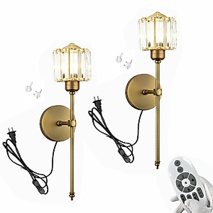 SKIVTGLAMP Industrial Wall Sconce Plug-in Cord with Remote Control, No Drilling Wall Mounted Dimmable LED Edison Bulbs Farmhouse Wall Hanging Upward for Home Decor Gallery Customizable 2 Lights
