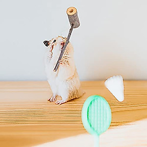 DAMPET Hamster Chew Toys, Hamster Activity Toys, Gerbil Rat Guinea Pig Chinchilla Chew Toys, Toys Accessories for Teeth Care,Natural Apple Wood Toys for Hamster, Rabbits, Bunny, Gerbil (Style 3)