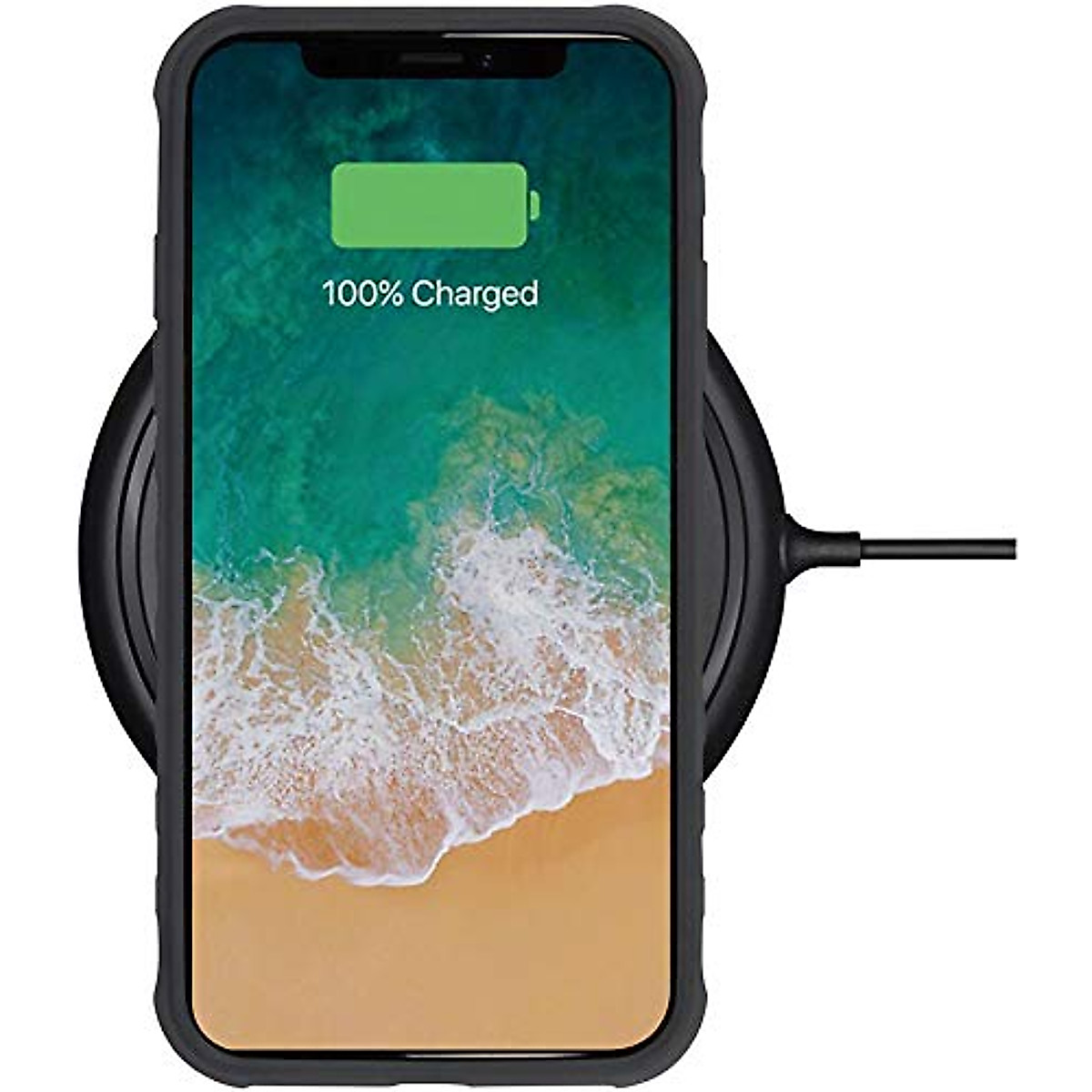Topeak RideCase with Mount for iPhone X/XS - Black/Gray (TT9855BG)