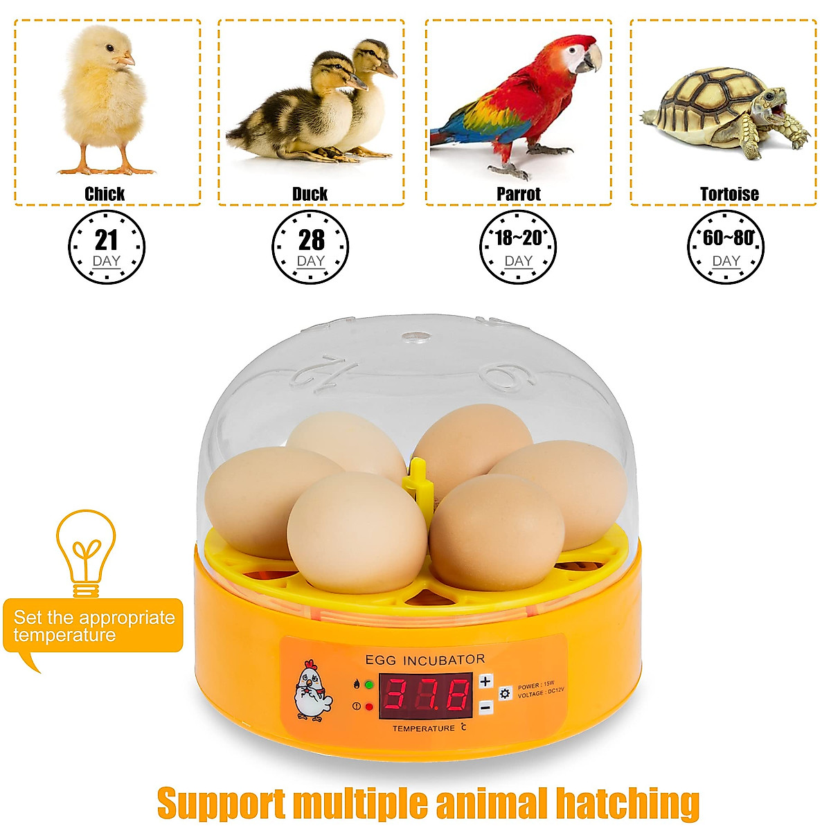 Eggs Incubators for Hatching Eggs,Automatic Egg Turner, Temperature Humidity Control,Egg Incubator Clear View,Egg Candler,Poultry Egg Incubator for Hatching Chicken Eggs, Quail Eggs, Duck Eggs, Turkey