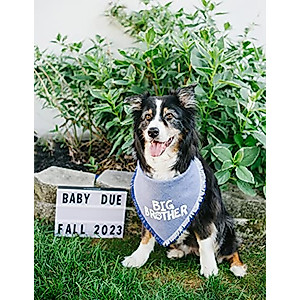 Everything Tailed Blue Big Brother Dog Bandana for Pregnancy Announcement, Pet Photo Prop, Handkerchief and/or Scarf for Dog, Fits Medium to Large Dogs