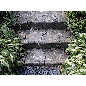 Dexpan Expansive Demolition Grout 11 Lb. Bucket for Rock Breaking, Concrete Cutting, Excavating. Alternative to Demolition Jack Hammer Breaker, Jackhammer, Concrete Saw, Rock Drill (Type 2, 50-77° F)