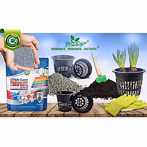 Triple Super Phosphate 0-46-0 Fertilizer Made in USA - Bloom Booster - TSP Pure Phosphorus Plant Food for Indoor/Outdoor Plants and Organic Gardens - Fruit, Vegetables, Holistic Herbs, Trees & More!