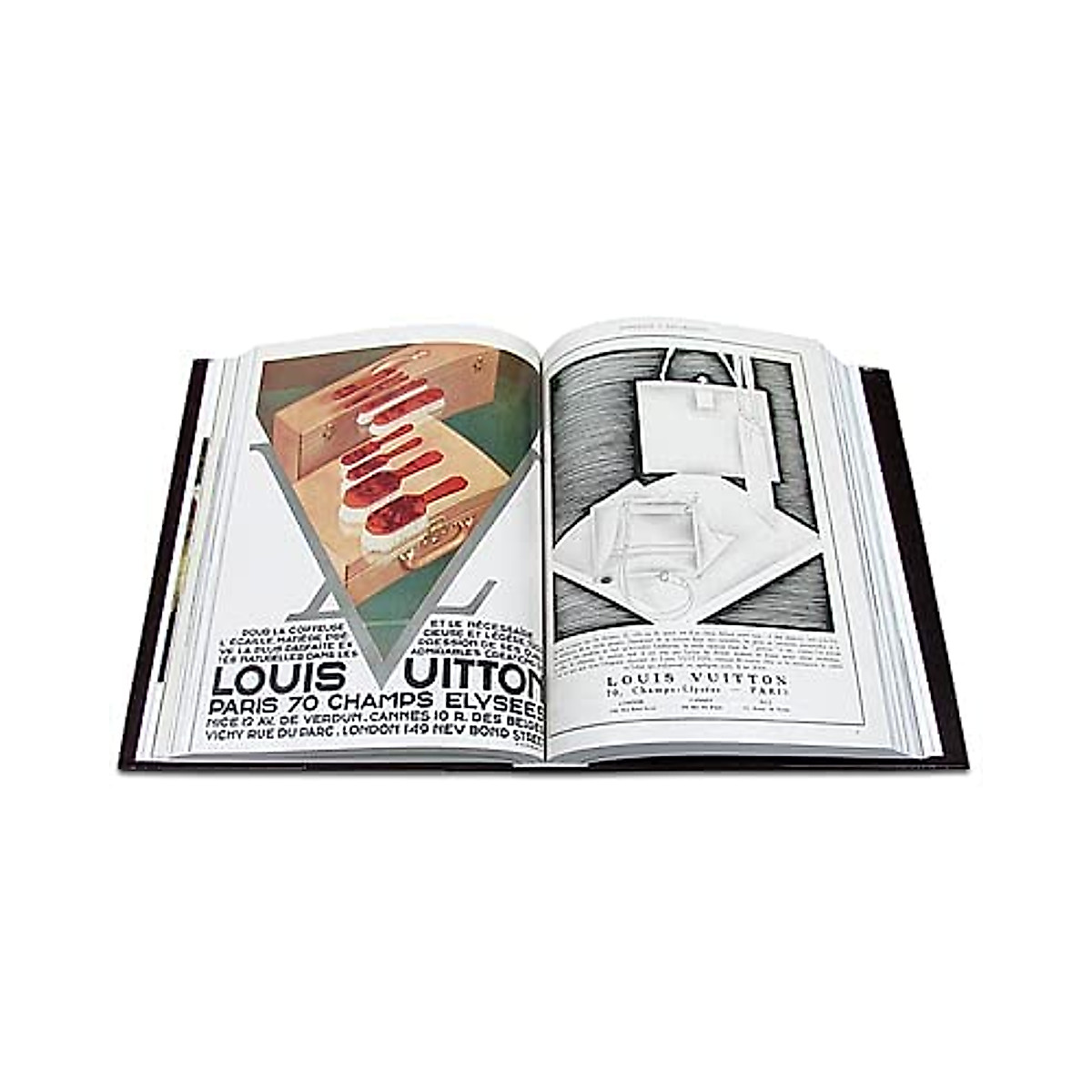 Louis Vuitton: The Birth of Modern Luxury Updated Edition