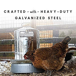 Manna Pro Hanging Chicken Waterer for Chicken Coop | Holds 2 Gallons of Water | Harris Farms Galvanized Steel Double Wall Poultry Drinker ,Silver