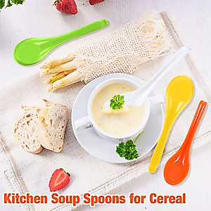 Hoolerry 50 Pieces Chinese Soup Spoons Bulk Asian Soup Spoons Melamine Ramen Spoons Colorful Japanese Soup Spoon for Wonton Pho Miso Ramen Rice Noodle, 5 Colors