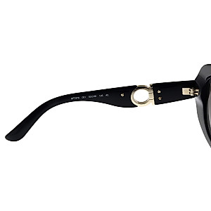 Salvatore Ferragamo Women's Oval Sunglasses Gradient Smoke