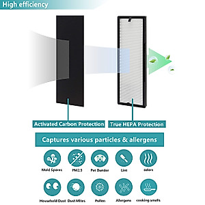 Lhari NEA-F1 True HEPA Replacement Filter, Compatible with Eureka NEA120 Air Purifier and Toshiba Air Purifier CAF-W36USW, 2-Pack