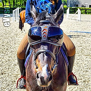 eVysor UV Protection Horse Riding Goggles by eQuick-it - MIrrored Blue Lenses