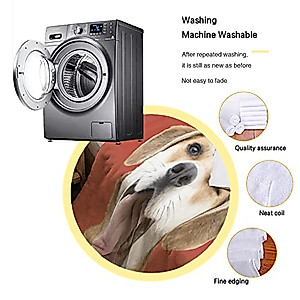 SIMIEEK Personalized Dog Photo Blanket with Name Custom Pet Picture Blankets Throws Customized Dog Portrait Blanket for Adults Kids, 30 to 80 Inches