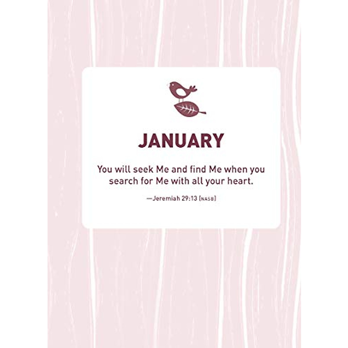 Jesus Calling: 365 Devotions for Kids (Girls Edition)