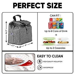 WISHBAX Collapsible Maximum Insulated Lunch Bag for Men & Women, Lightweight Cooler Insulated Lunch Box for Men & Women, Leakproof, Waterproof, Stain-Resistant Adult Lunch Boxes for Men