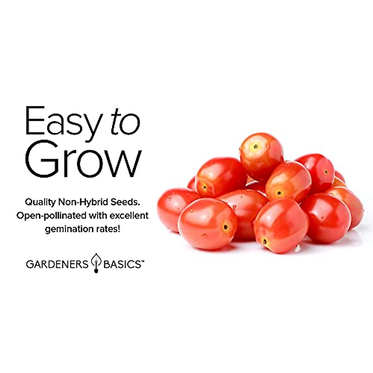 Roma VF Tomato Seeds for Planting Heirloom Non-GMO Seeds for Home Garden Vegetables Makes a Great Gift for Gardening by Gardeners Basics
