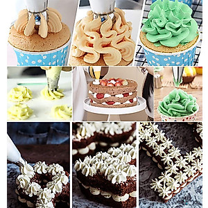 EOTCT Russian Piping Tips Set 27 pcs Cake Decorating Supplies Kit Ball Piping Nozzles Decorating Tools Airbrush Kit for Baking DIY Cream Cake Cupcake