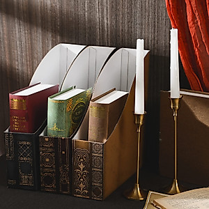 Geetery 6 Pcs File Magazine Organizer 3" x 11" x 12'' Decorative Classic Books Themed Magazine Holder Box Easy to Assemble Classic Books Magazine Rack File for Shelves Desk Home Classroom (Chic)