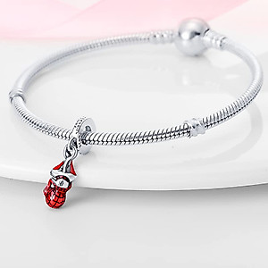 HappyStar 925 Sterling Silver Charms for Bracelets and Necklaces,Combination Dangle Pendants Beads Charms Jewelry Gift for Couples Sisters.（With Spacer Beads）