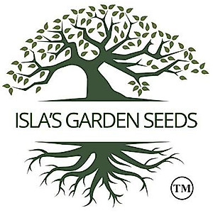 Sugar Beets, 100+ Heriloom Seeds Per Packet, (Isla's Garden Seeds), Non GMO Seeds, Botanical Name: Beta vulgaris subsp. vulgaris convar. vulgaris VAR. altissima