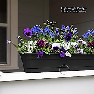 Bloem Dura Cotta Window Box Planter: 24" - Black - with Tray, Weatherproof Resin Box, Removable Tray for Indoor & Outdoor Use, Gardening, 3 Gallon Capacity