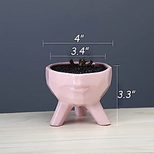 YONGYAN Face Shape Flower Pot Statue Decoration Ceramics Garden Head Planters Containers Pot Bookshelf Office Desktop Decor (Pink)