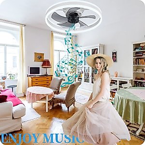 DewShrimp Flush Mount Ceiling Fan with Lights Bladeless Ceiling Fan with Bluetooth Speaker App and Remote Control Low Profile Ceiling Fan LED Stepless Dimming 3 Colors 6 Speeds Reversible 19.8