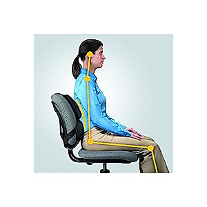 Fellowes Professional Series Back Support Memory Foam Cushion Black Fel8037601