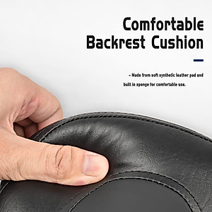 Scooter Rear Luggage Cargo Rack Adapter w/Passenger Backrest Back Rest Cushion Pad Sissybar Sissy Bar for Ve-spa Primavera Sprint Elettrica 150 2014 2015 2016 2017 2018 2019 2020 2021 2022