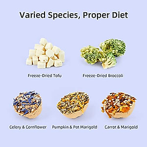 Niteangel Hamster Snack & Treats Toy - Small Animal Natural Treat Mix for Dwarf Syrian Robo Hamsters Gerbils Mice Lemmings Degus or Other Small-Sized Pets (Walnut-Shell Boat)