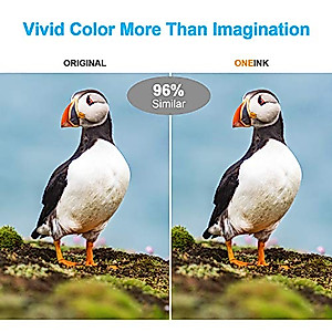 ONEINK Compatible Ink Cartridges Replacement for HP 564XL 564 XL for HP Deskjet 3520 3522 Officejet 4620 Photosmart 5520 6510 6515 6520 7510 7520 Printer,10 Packs (4 Black,2 Cyan,2 Magenta,2 Yellow)