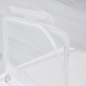 HANAMYA 15 Liter / 30 lbs Rice Storage Container with Measuring Cup, BPA free, For Rice | Grain | Pet Food | Flour, 2 counts, Clear