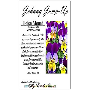 MySeeds.Co Big Pack - Johnny Jump Up Flower Seeds (20,000 Seeds) - Viola cornuta 'Helen Mount' - Edible Flower Seeds (Big Pack - Johnny Jump Up)
