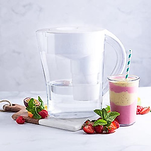 Santevia MINA Alkaline Water Filter Pitcher | Water Filtration System | Chlorine and Lead Filter | Water Purifier Pitcher | Home Water Filtration Pitcher | 9-Cup at Home Water Filter | Made in Canada