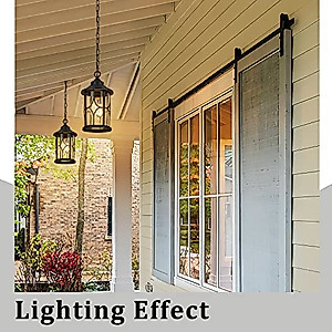 zeyu Outdoor Pendant Light for Porch - 12 Inch Farmhouse Exterior Hanging Lantern with Seeded Glass, Black Finish, ZX48H BK