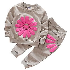 Avidqueen Toddler Baby Girls Sunflower Clothes Set Long Sleeve Top and Pants 2pcs Outfits Fall Clothes (Grey,Age 3T)