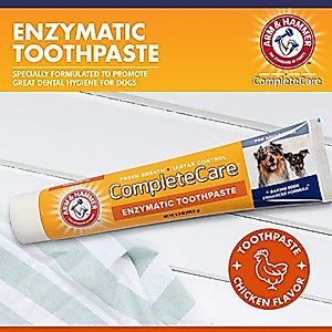 Arm & Hammer Complete Care Enzymatic Dog Toothpaste, 6.2 oz - Dog Toothpaste for Puppies and Adult Dogs, Arm and Hammer Toothpaste for Dogs - Pet Toothpaste, Dog Dental Care and Clean Dog Teeth