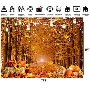 LTLYH 7x5ft Fall Forest Backdrop Autumn Thanksgiving Backdrop Maple Forest Leaves Friendsgiving Party Banner Backdrop Supplies Farm Harvest Event Photo Backdrop 185