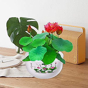 DOITOOL Small Terracotta Pots Succulent Planter Pots Bonsai Pots Shallow Round Flower Pot Hydroponic Vase Succulent Planter Bowl for Indoor Cactus Plants Plastic Plant Pots