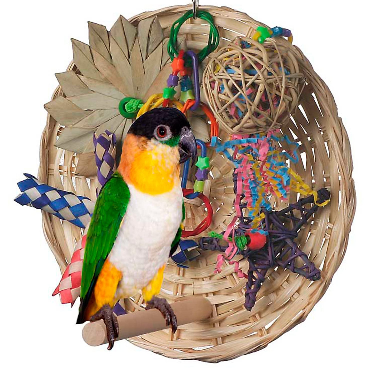 Super Bird Creations SB543 Busy Birdie Play Perch Bird Toy, Small/Medium Bird Size, 9.5" x 9.5" x 6"