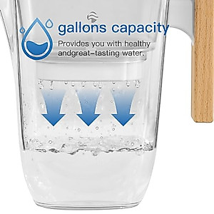 FACHIOO Water Filter Pitcher, 200-Gallons Long-Life 10-Cup Pitcher with 1 Filter, 5X Times Lifetime, Reduces PFAS, PFOA/PFOS, Fluoride, Chlorine, Rust, Microplastics, BPA Free, Clear, Lasts 3 Months