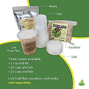 Josh's Frogs 32oz Insect Cup and Fabric Lid