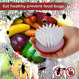 Vegetable Brush Scrubber for Food – 2Pcs Set Fruit and Veggie Brush – Silicone Top and Ultra-Strong Bristles Potato Scrubber – Palm Held Ergonomic Design – Easy to Clean – Red and Green