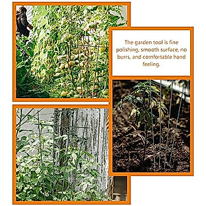 MAGICLULU House Plant Trellis for Potted Plants Plant Climbing Trellis 2pcs Iron Vine Climbing Support Rack Flower Garden Plant Stakes for Rose Vine Pea Ivy Cucumbers Flower Vegetables