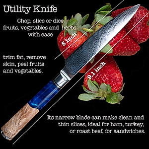 Damascus Kitchen Knife Set 3 piece, 67 Layer Handmade Damascus VG10 Steel Core Forged, 8" Chef Knife, 7,5" Serrated Knife, 5" Utility Knife, Resin Wood Handle, Gift Box Included